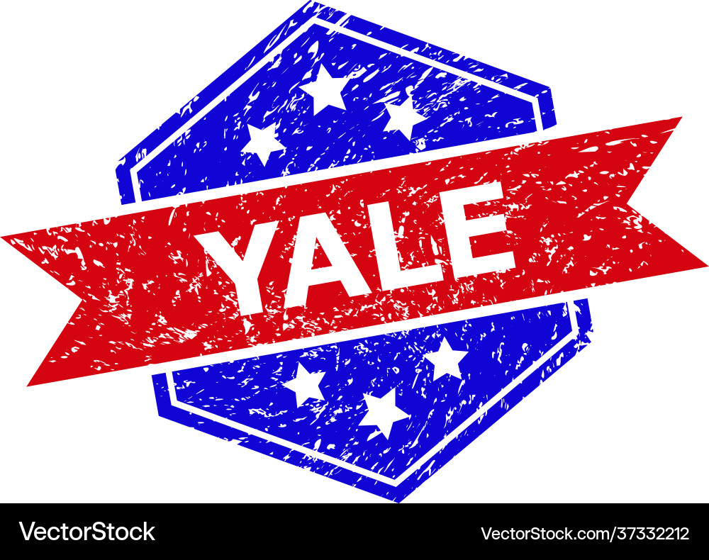 Hexagon bicolor yale stamp with grunged texture Vector Image