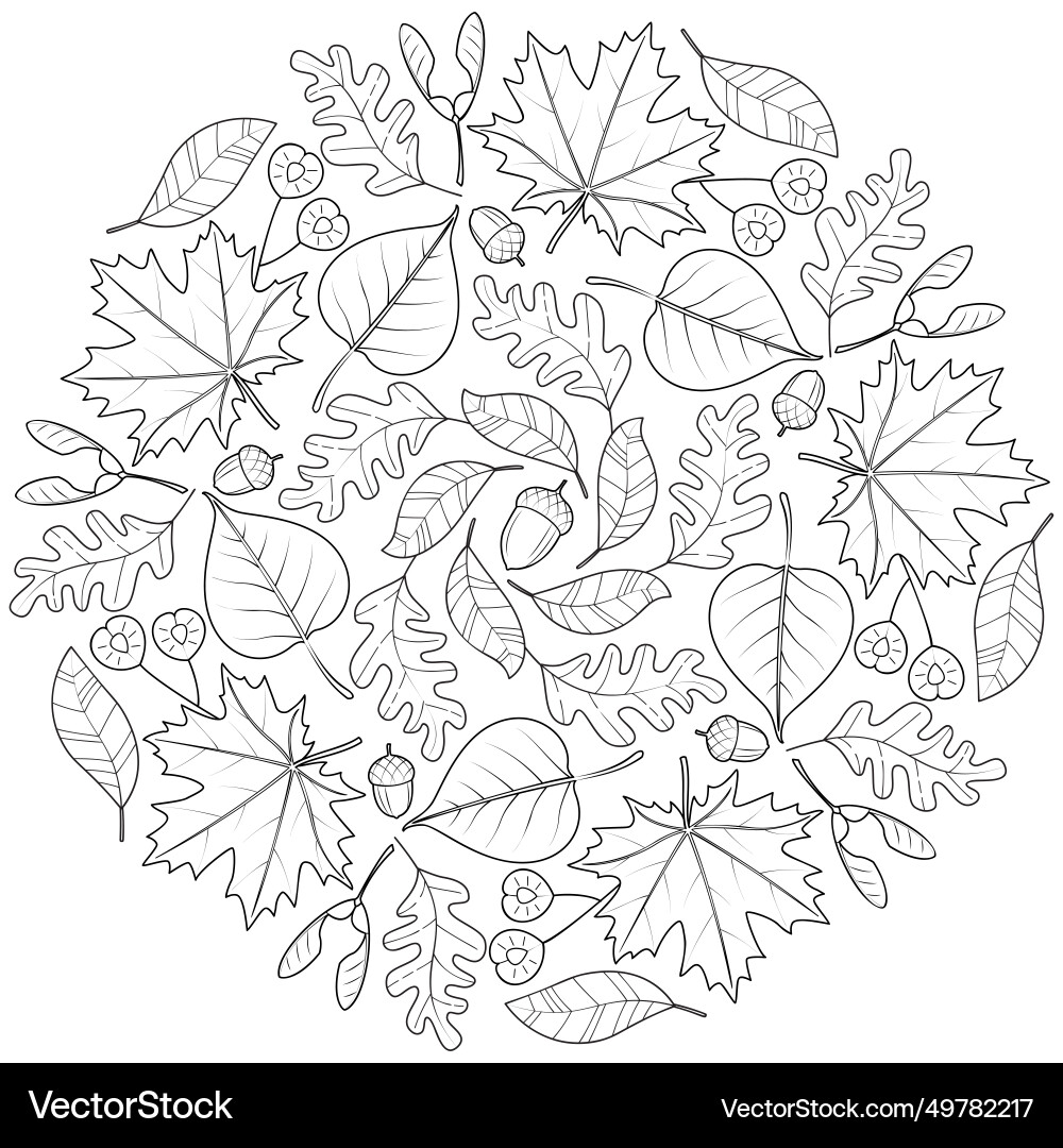 Autumn mandala with leaves on white Royalty Free Vector