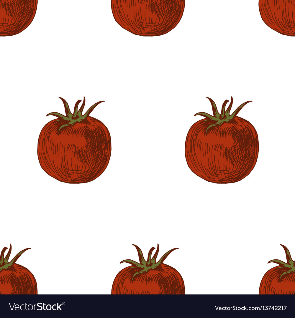 Seamless pattern tomato background Royalty Free Vector Image