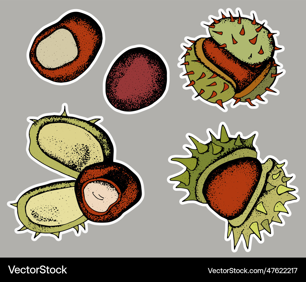 Set of chestnuts stickers Royalty Free Vector Image