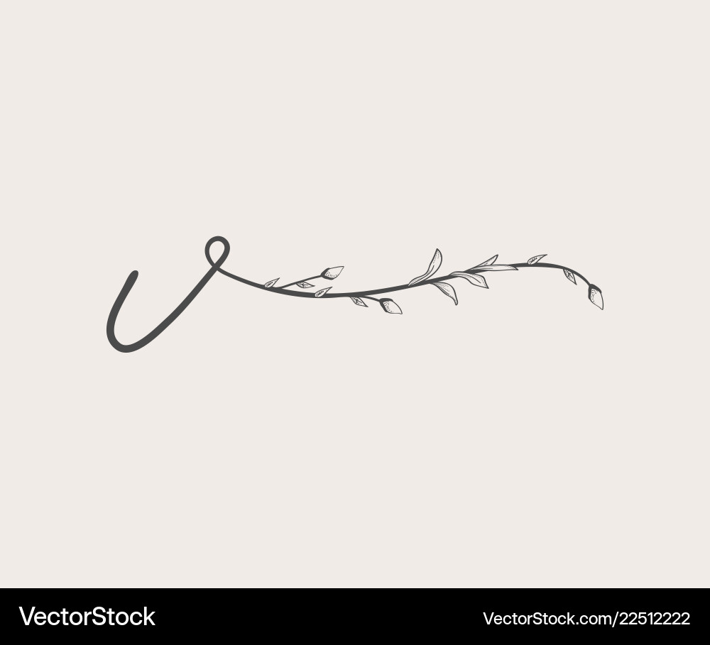 Hand drawn floral v monogram and logo Royalty Free Vector