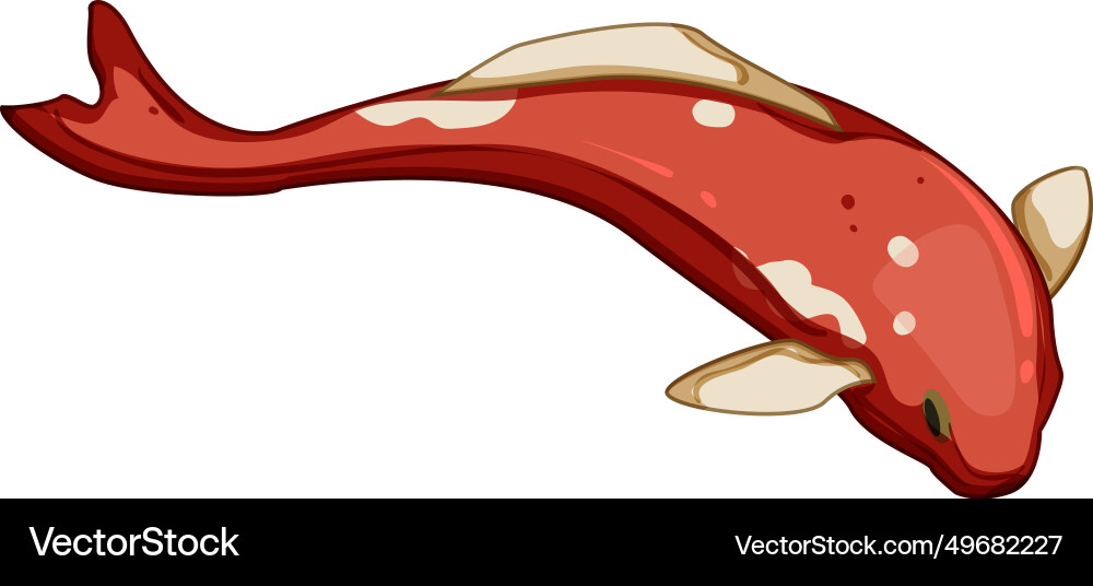 Asian koi fish carp cartoon Royalty Free Vector Image