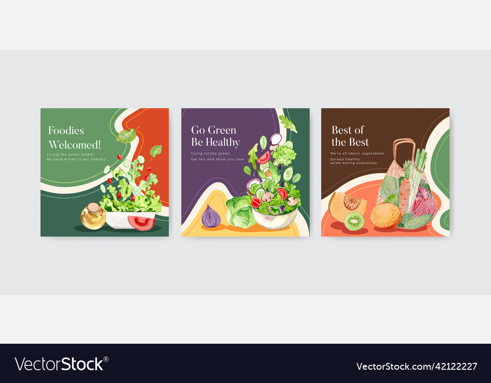 Banner template with healthy salad Royalty Free Vector Image
