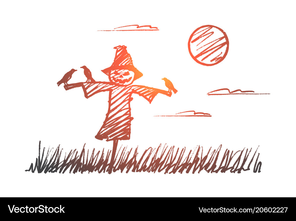Hand drawn halloween scarecrow with crows at night