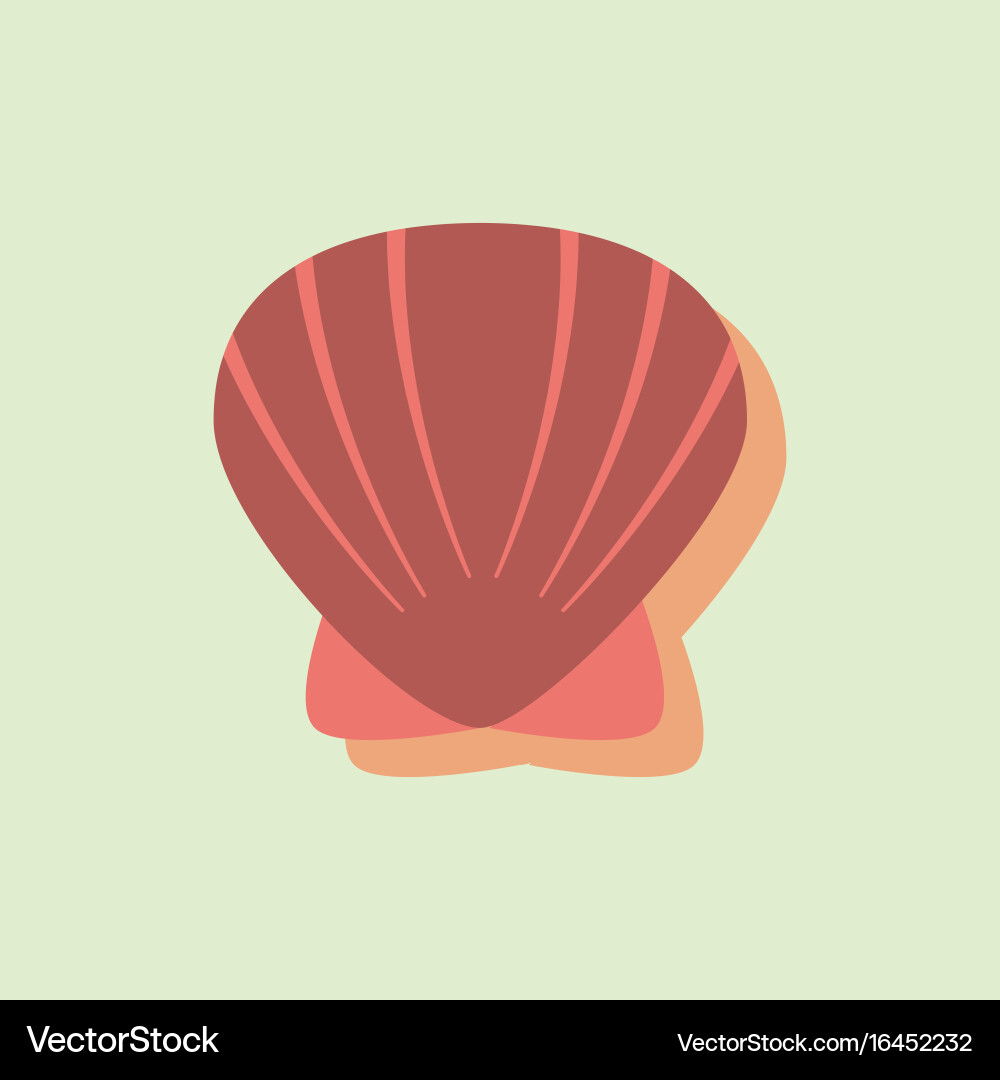 Scallop sea shell sketch style realistic Vector Image