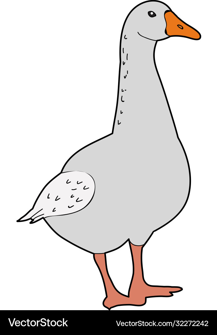 Isolated bird goose duck on white background Vector Image