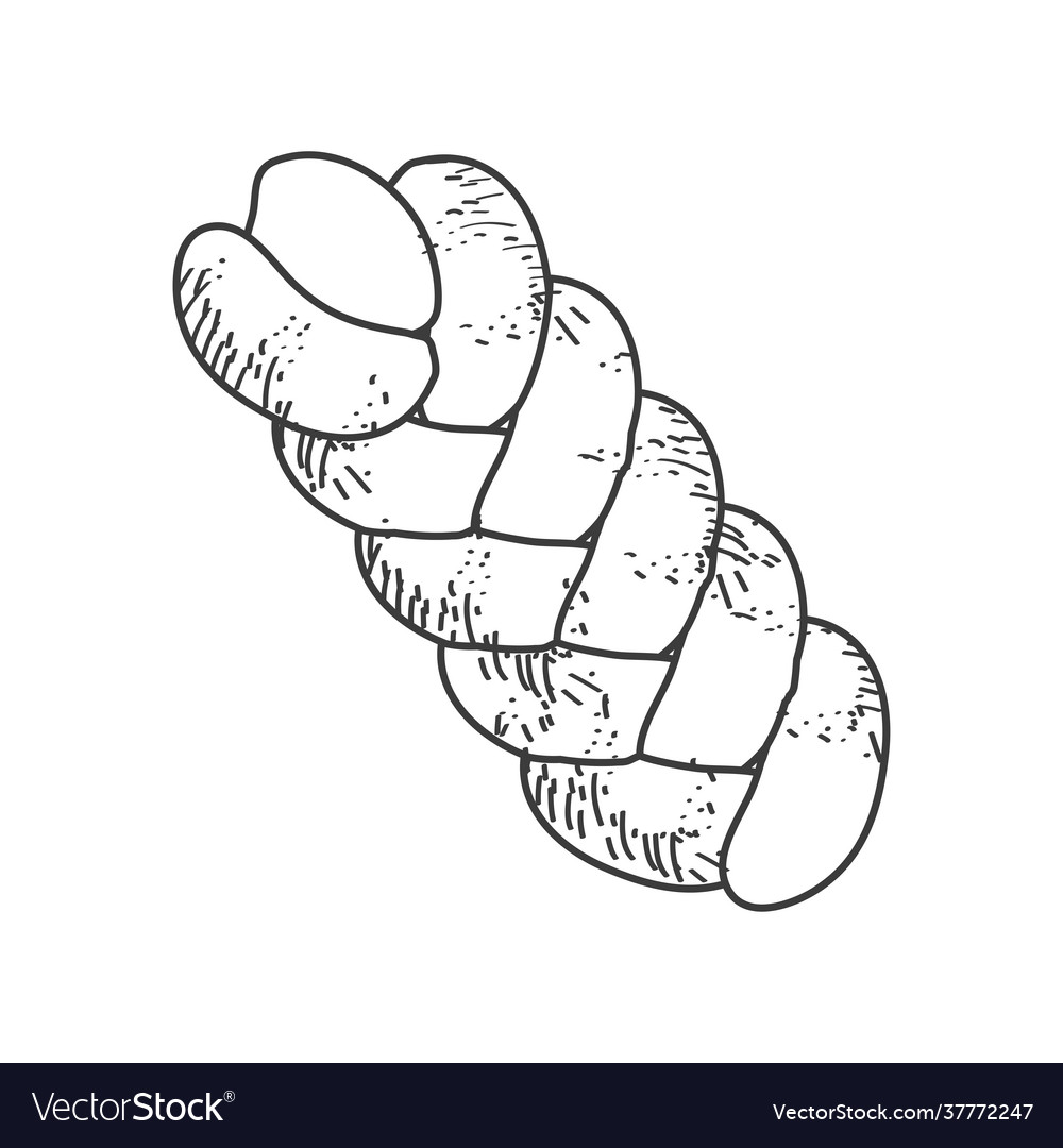 Braid bread sketch Royalty Free Vector Image - VectorStock
