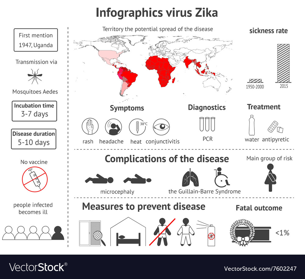 Infographics virus Zika Royalty Free Vector Image