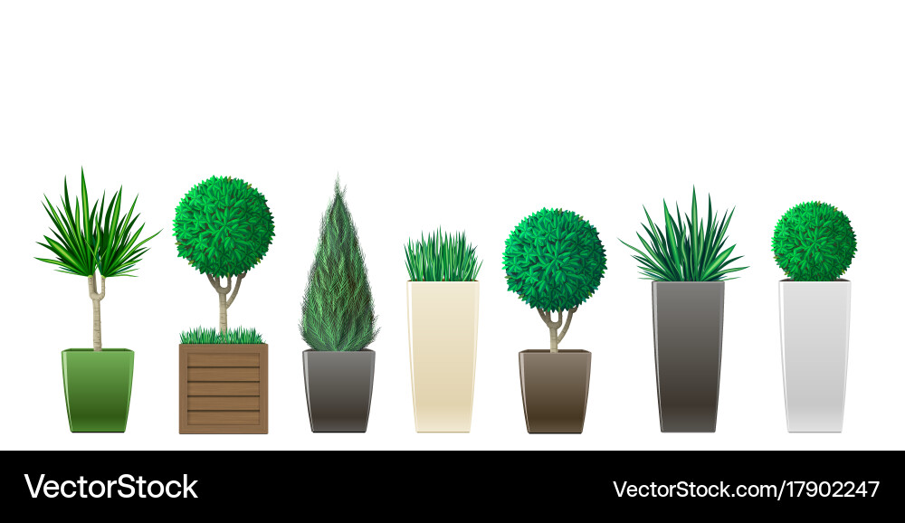 Set of potted plants Royalty Free Vector Image