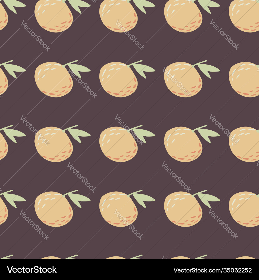 Citrus fruit seamless pattern with doodle Vector Image