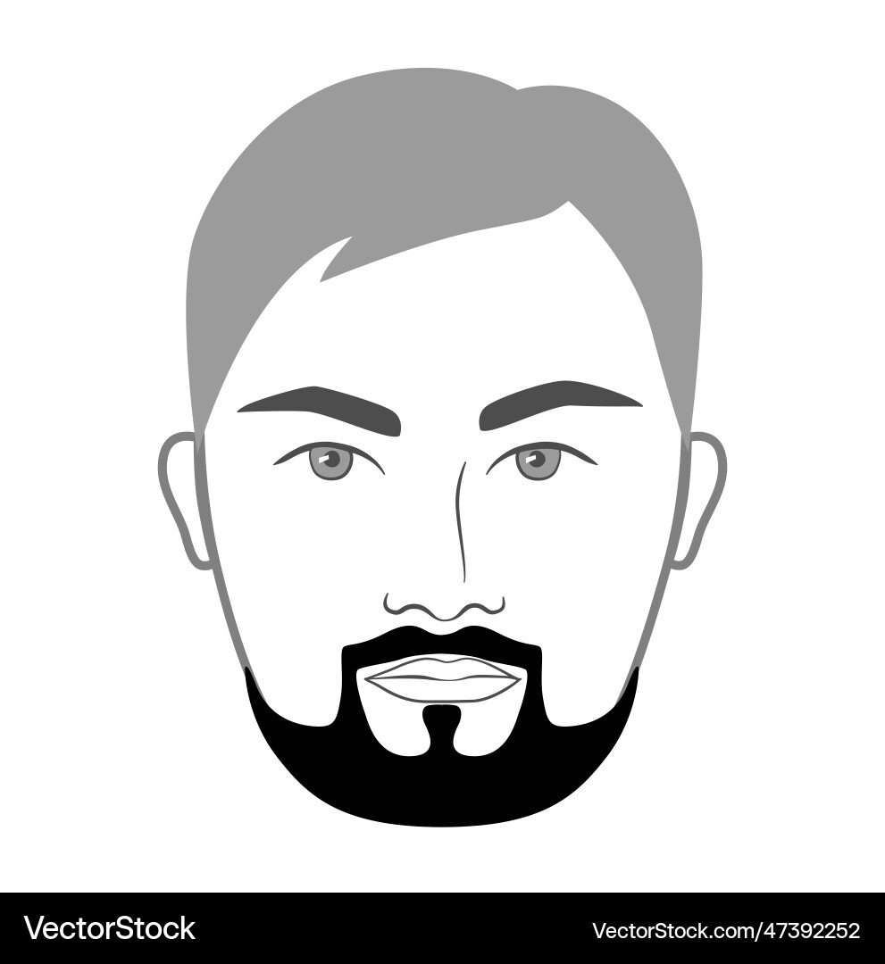 Hollywood writer beard style men in face Vector Image