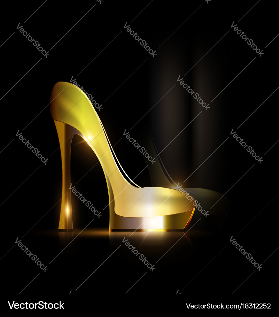 Reflection of golden shoe Royalty Free Vector Image