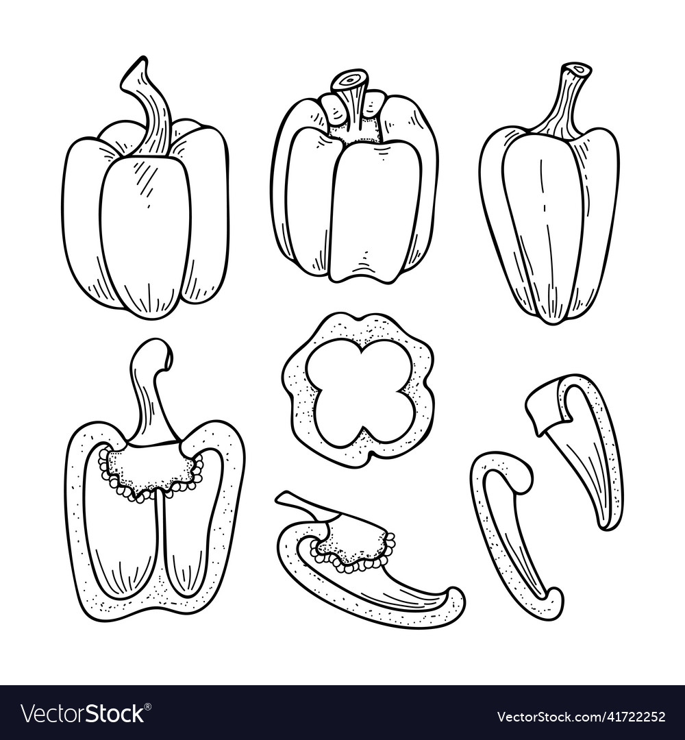 Set of sweet peppers line art harvest ripe Vector Image