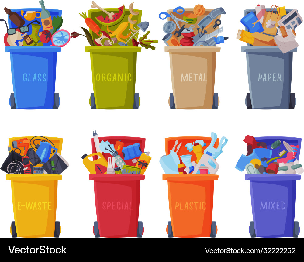 Waste sorting set trash cans with sorted Vector Image