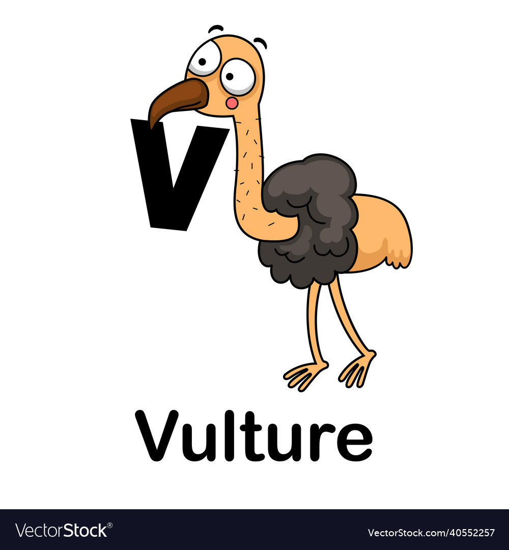 Alphabet letter v-vulture Royalty Free Vector Image