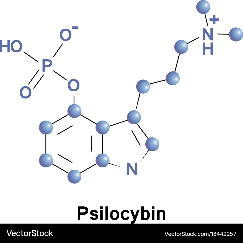 Psilocybin psychedelic compound of mushrooms Vector Image