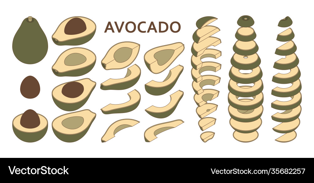 Set fresh whole and sliced avocado isolated Vector Image