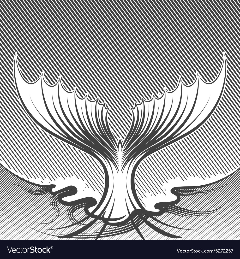 Tail Royalty Free Vector Image - VectorStock