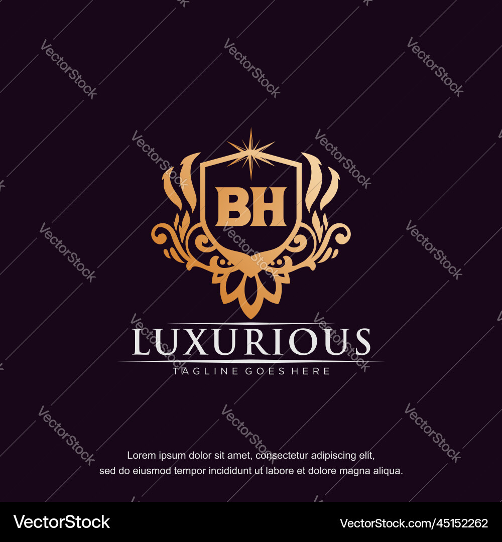 Bh initial letter luxury ornament gold monogram Vector Image
