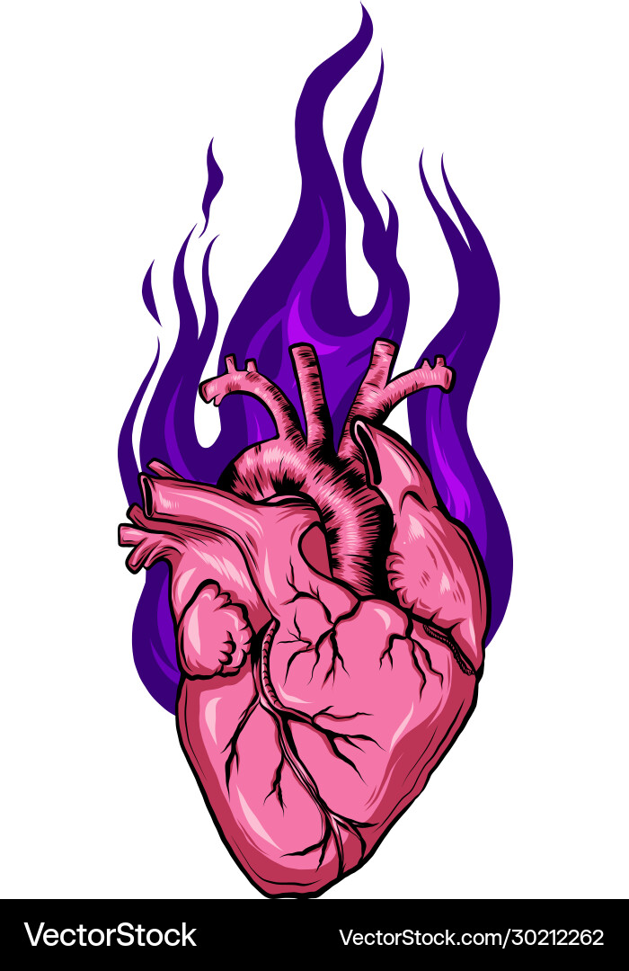 Heart hand drawn sketch isolated on Royalty Free Vector