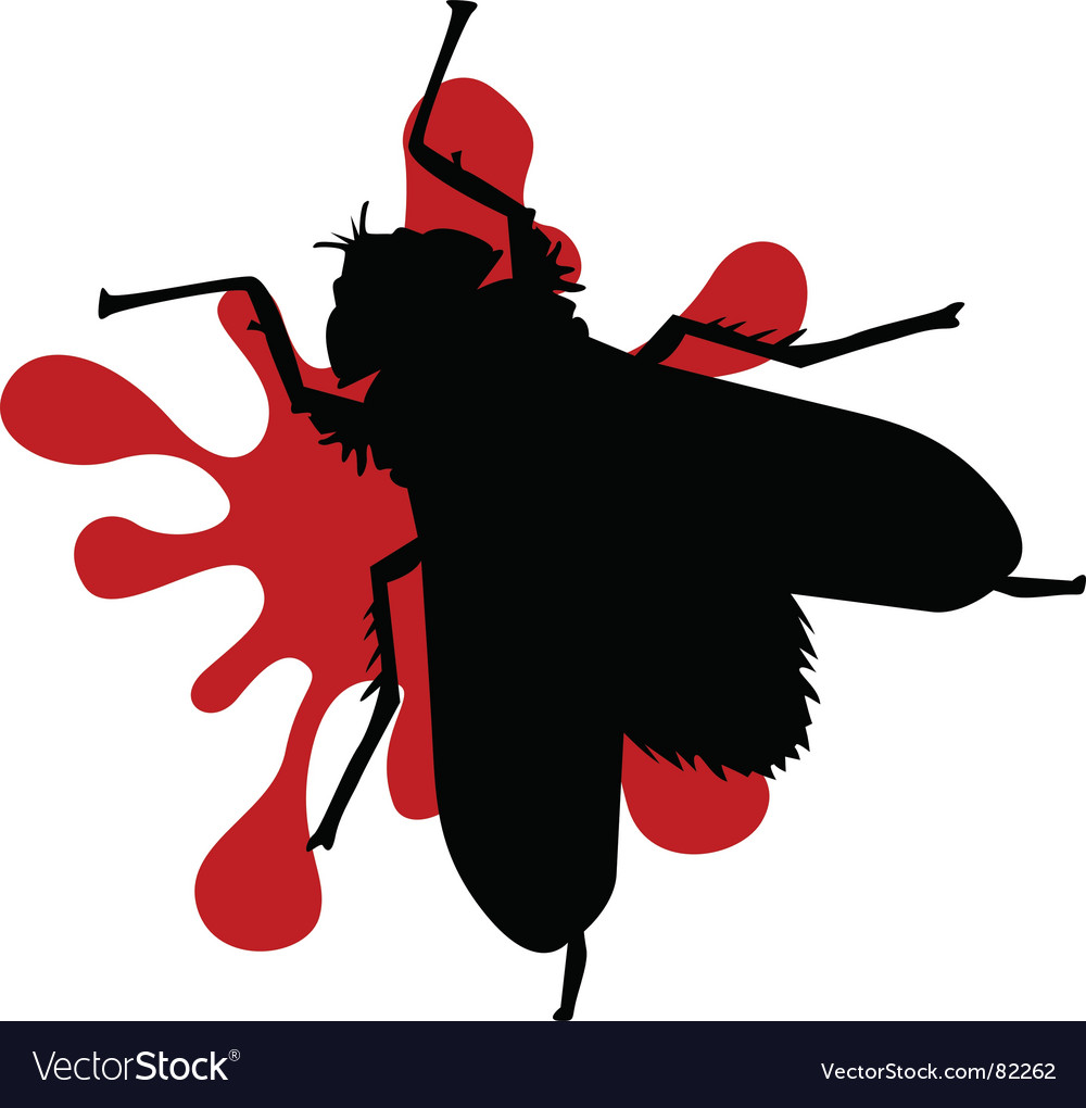 Squashed fly Royalty Free Vector Image - VectorStock