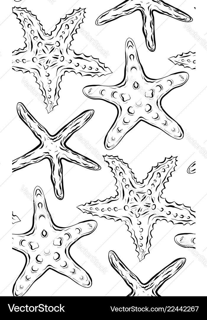 Seamless black and white texture with contour Vector Image