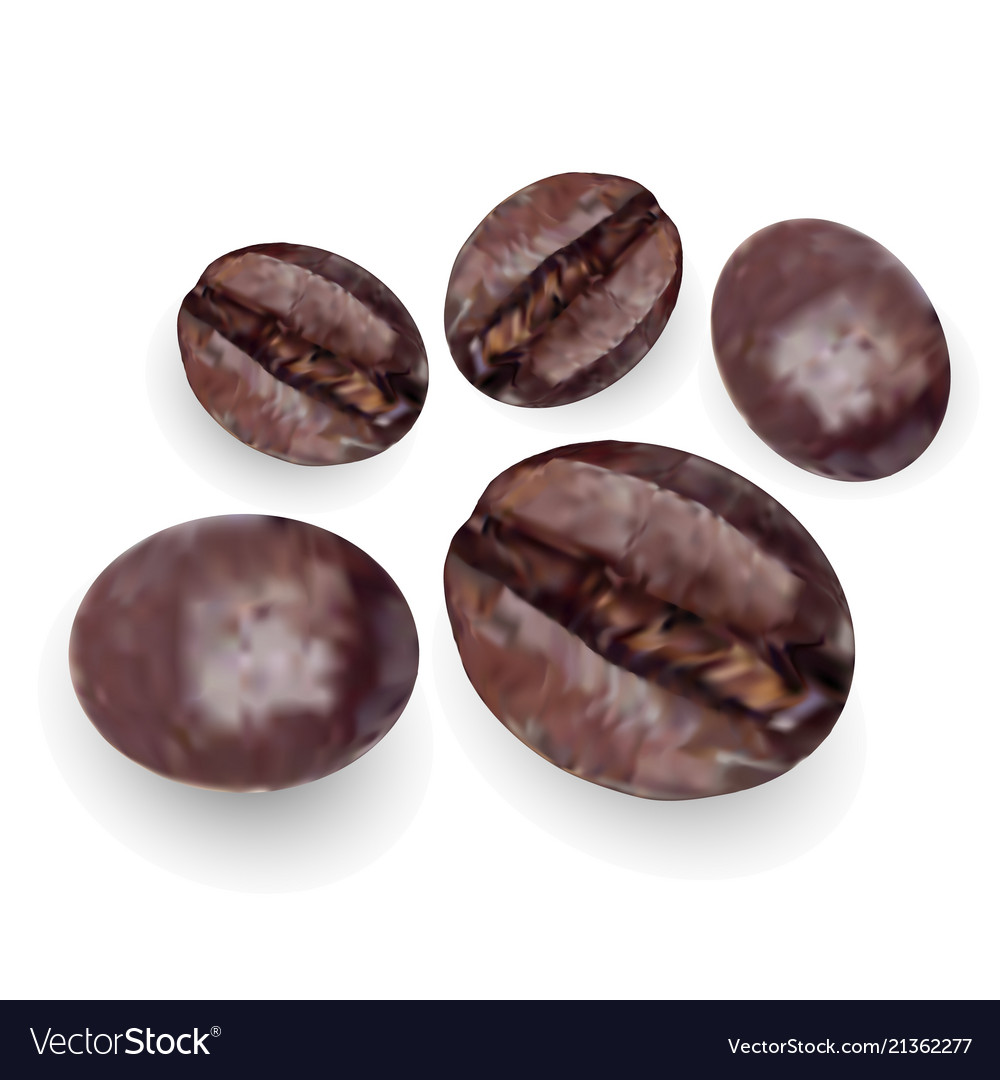 Coffee beans roasted Royalty Free Vector Image