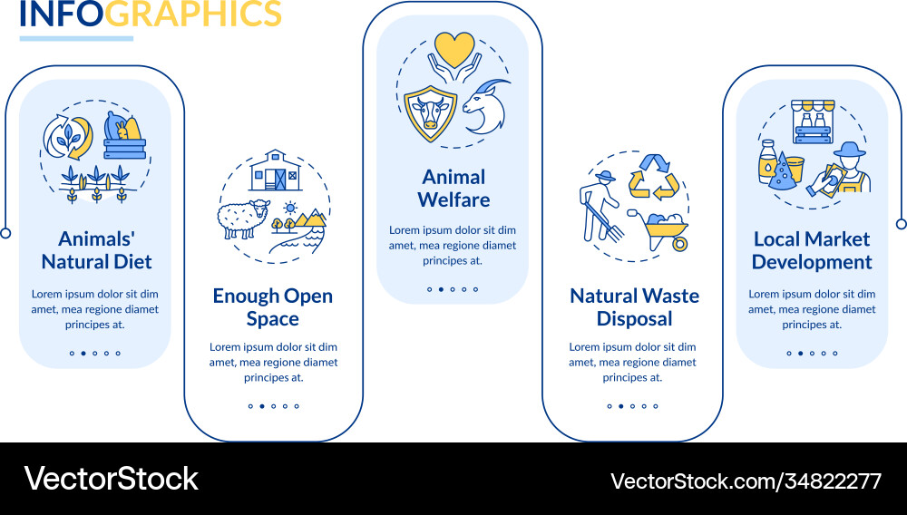 Ethical dairy industry production infographic Vector Image