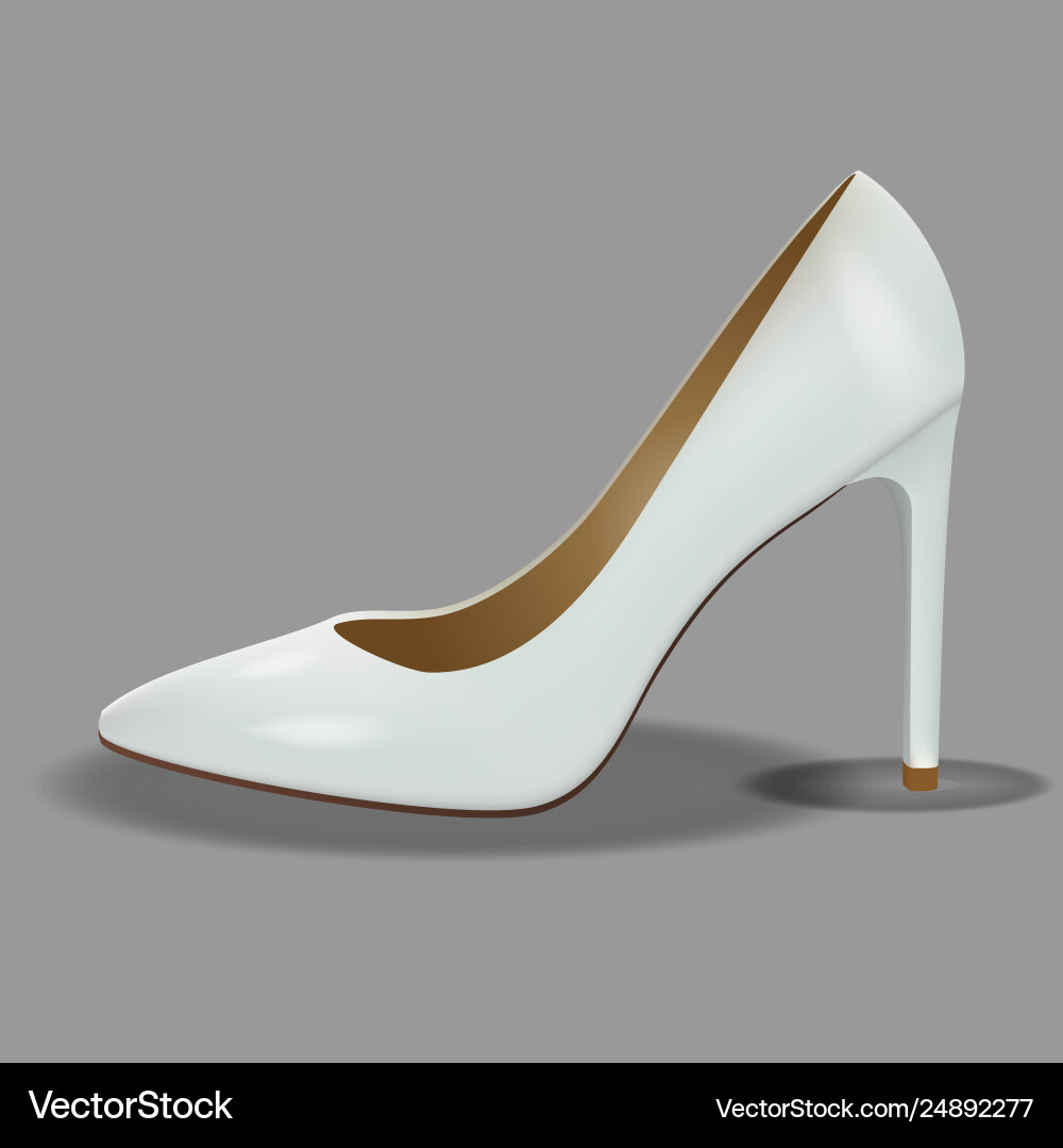 Realistic women shoes Royalty Free Vector Image