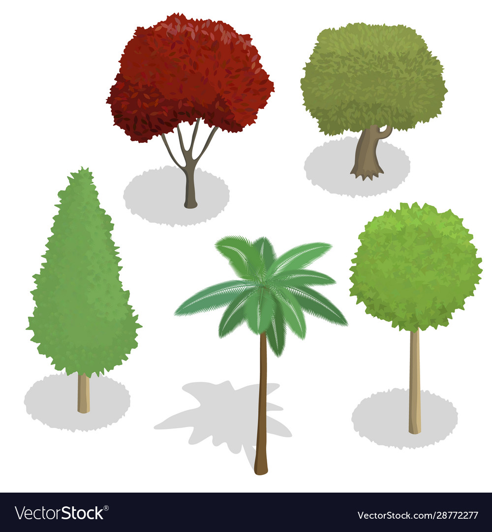 Various trees set Royalty Free Vector Image - VectorStock