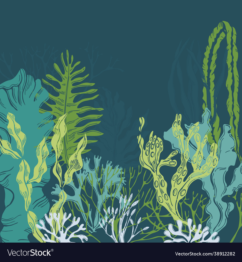 Edible algae background Royalty Free Vector Image