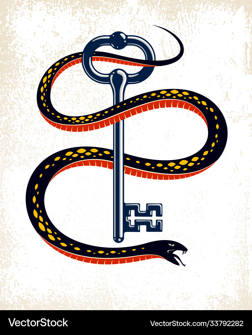 Snake wraps around vintage key protected secret Vector Image