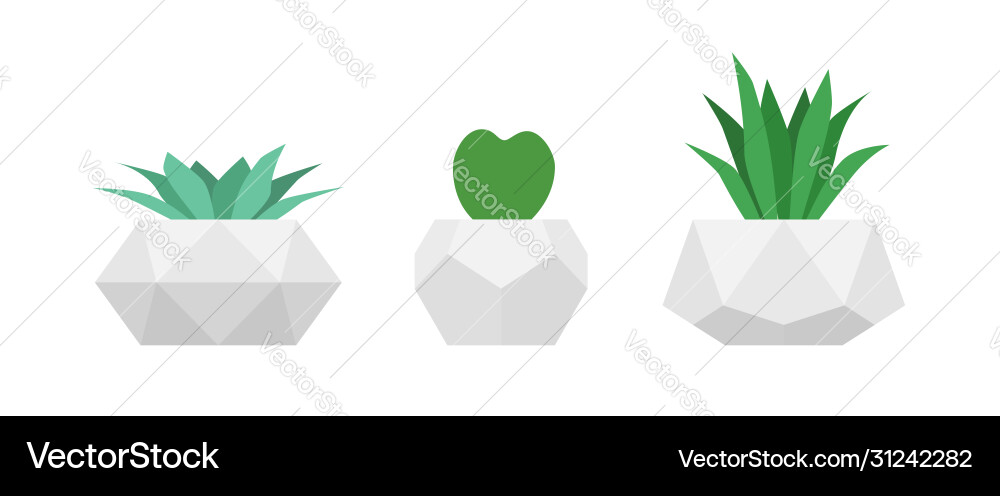 Succulents in geometric concrete pots set Vector Image