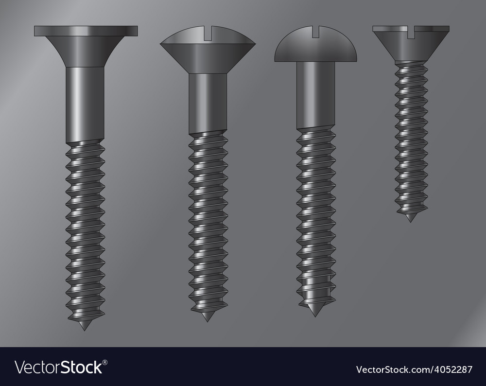Screw Royalty Free Vector Image - VectorStock