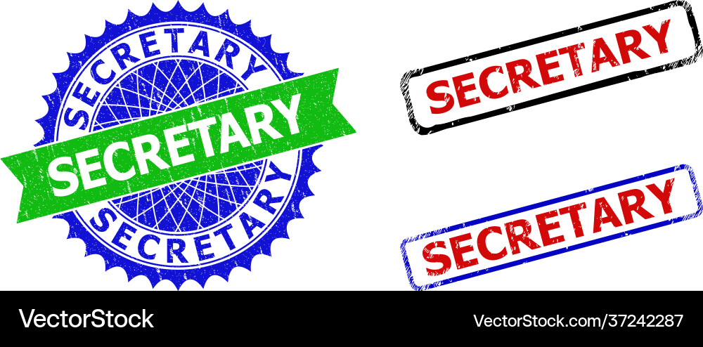 Secretary rosette and rectangle bicolor stamps Vector Image