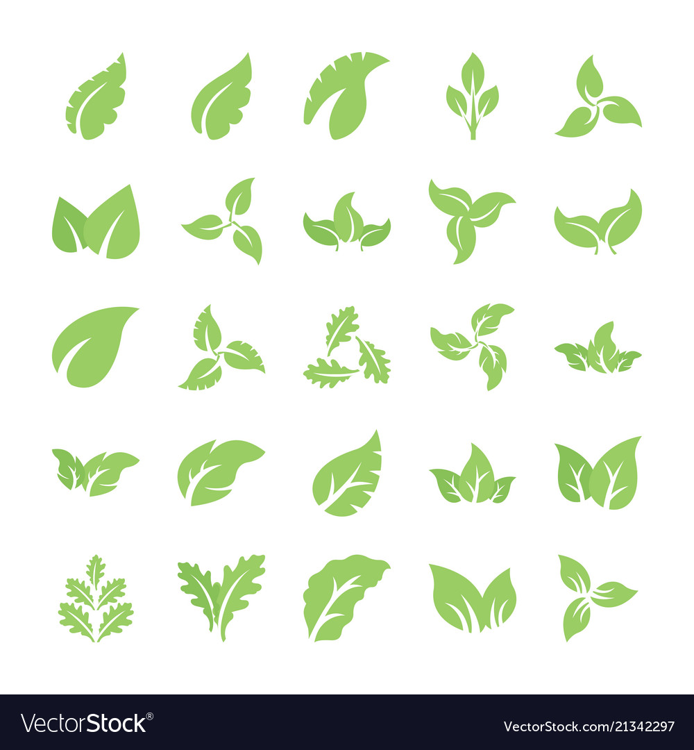 Leaf icon set Royalty Free Vector Image - VectorStock