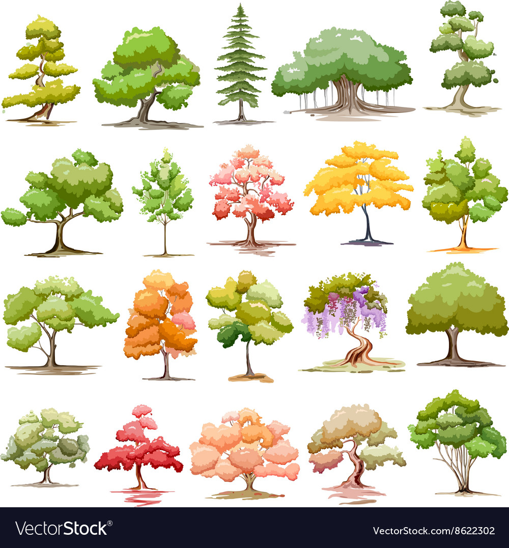 Set of tree Royalty Free Vector Image - VectorStock