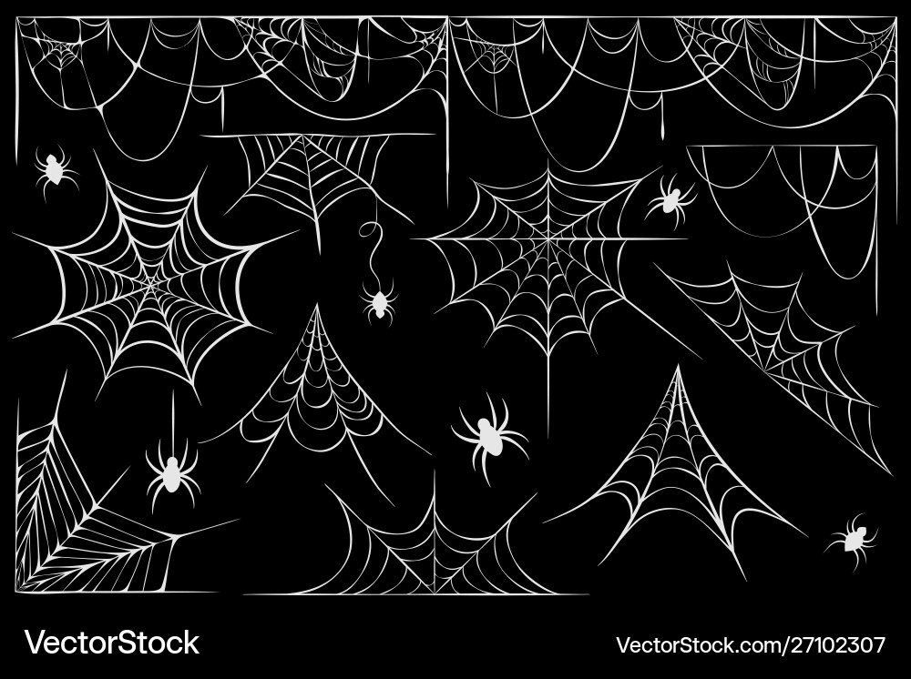Big set cobwebs and hanging spiders Royalty Free Vector