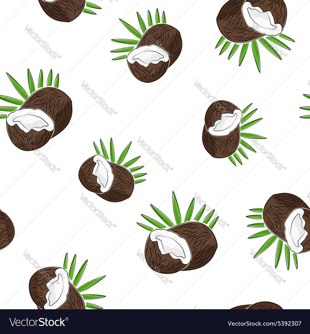Seamless pattern coconut Royalty Free Vector Image