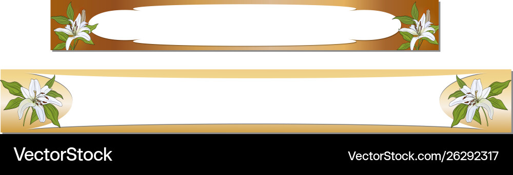 Horizontal banners with flowers white lily Vector Image