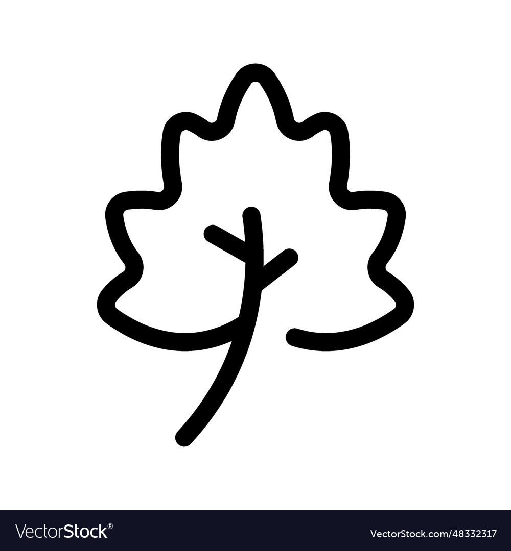Maple leaf icon Royalty Free Vector Image - VectorStock