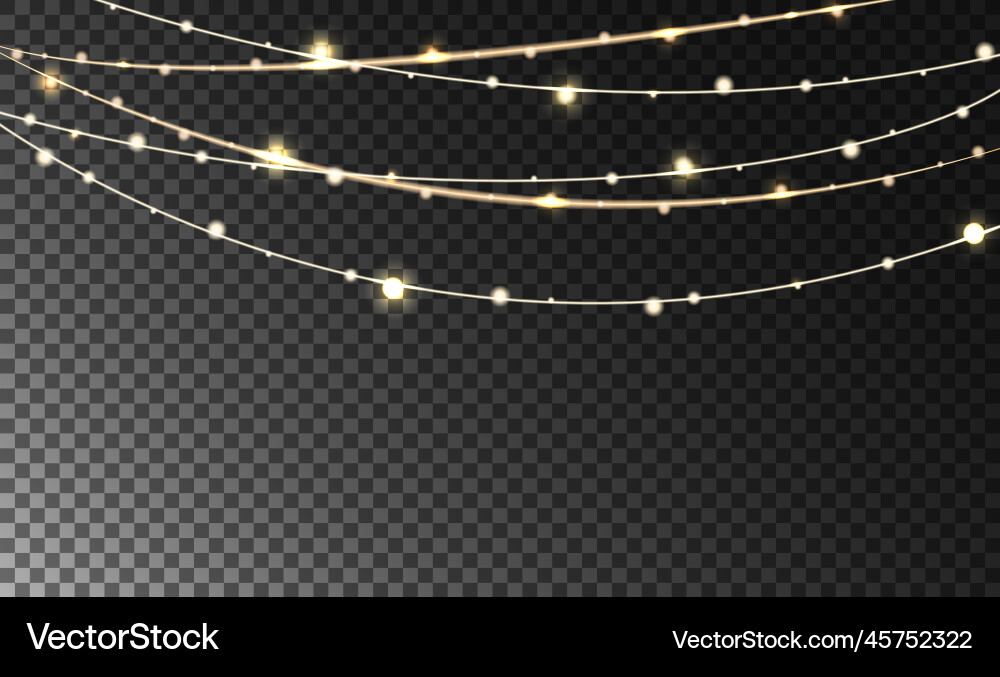 Glowing lights on wire strings isolated Royalty Free Vector