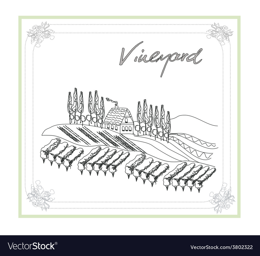 Vineyard Royalty Free Vector Image - VectorStock