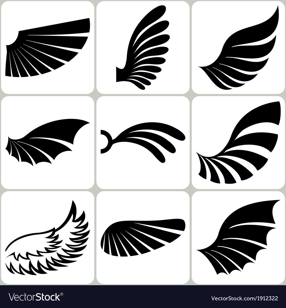 Wings set design elements Royalty Free Vector Image
