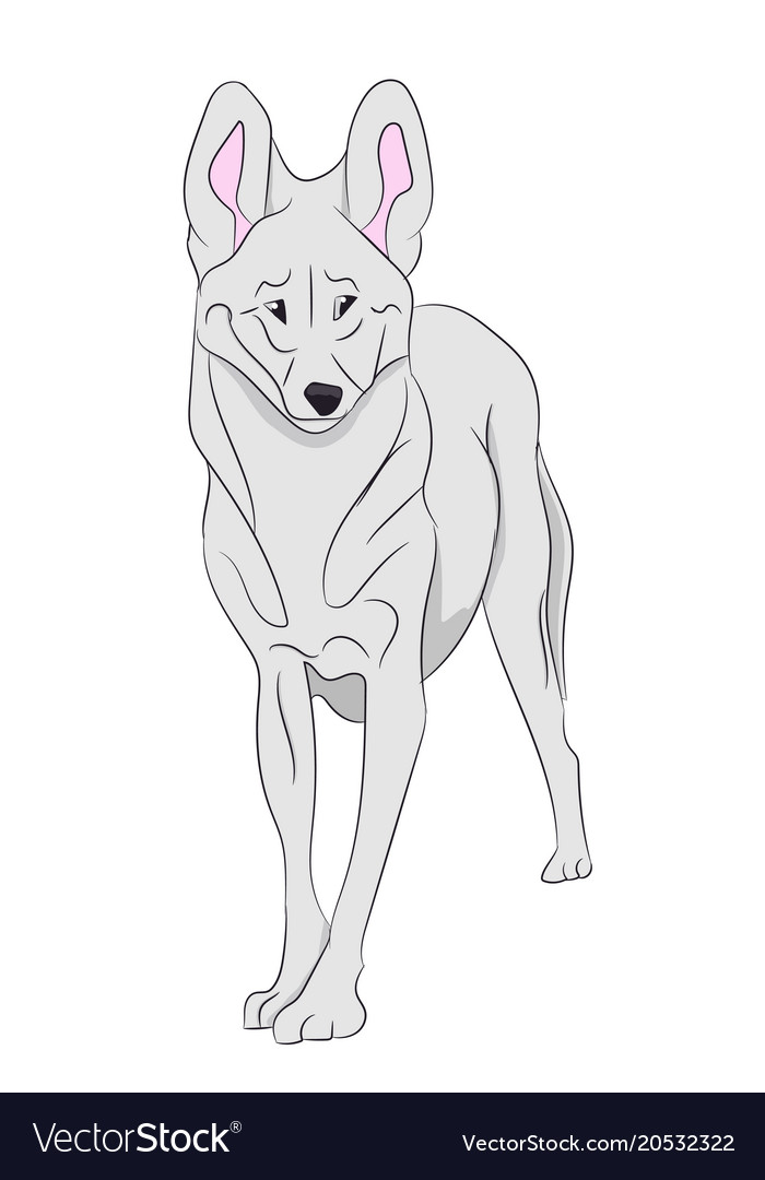 Wolf Royalty Free Vector Image - VectorStock