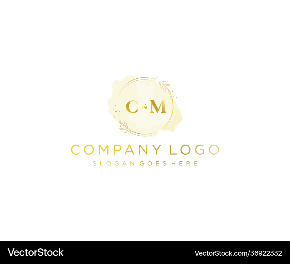 Initial cm letters colorful watercolor splash Vector Image