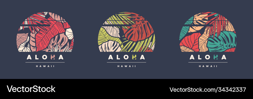 Aloha hawaii set three colorful tropical Vector Image