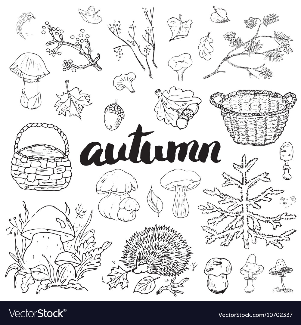 Autumn season set hand drawn doodles Royalty Free Vector