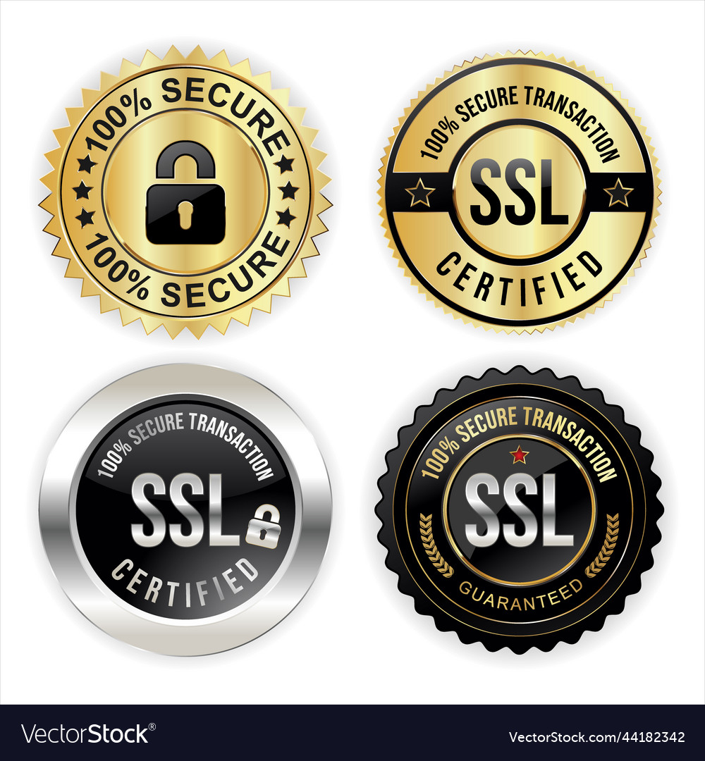 Collection Of Ssl Protection Secure Icon Vector Image