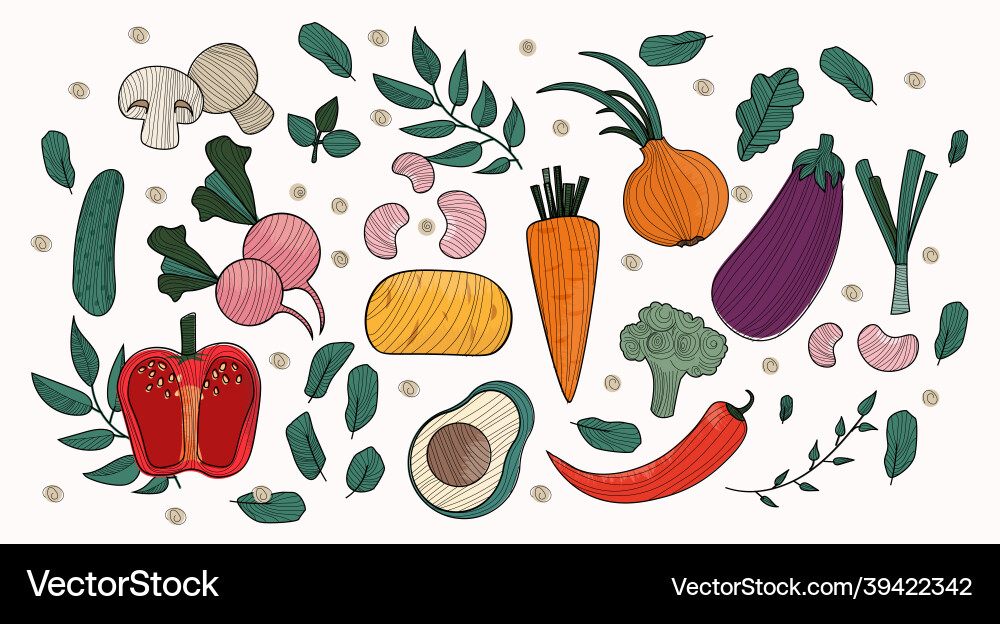 Set of vegatables Royalty Free Vector Image - VectorStock